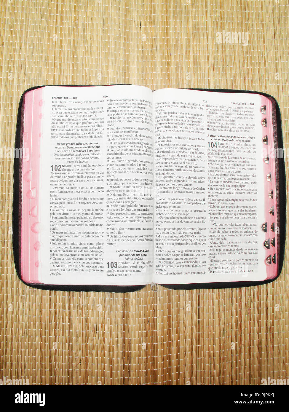 Bible opened holy close hi-res stock photography and images - Alamy