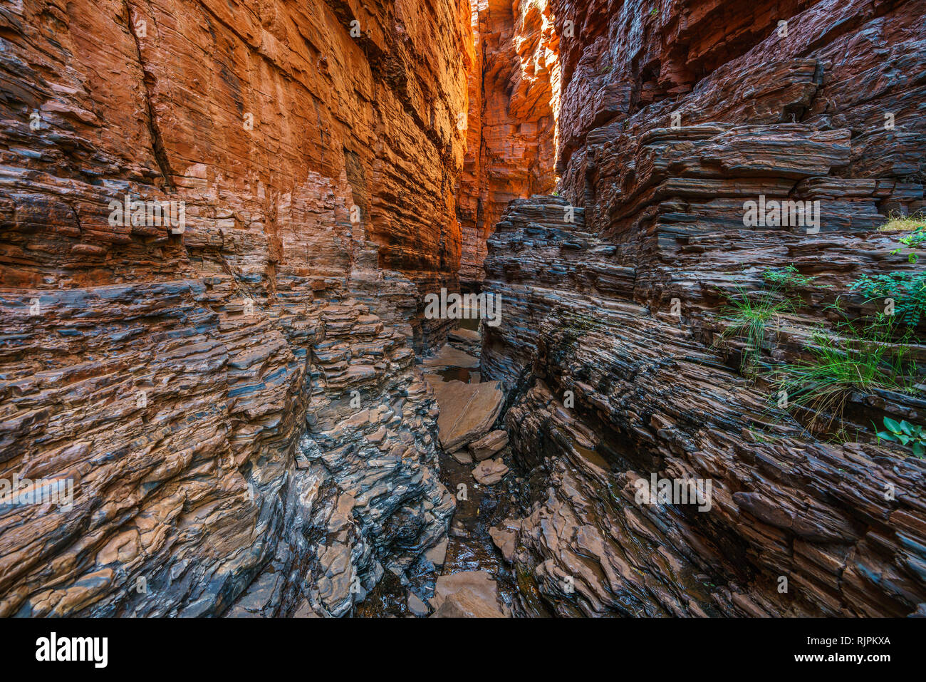 hiking to handrail pool in the weano gorge in karijini national park ...