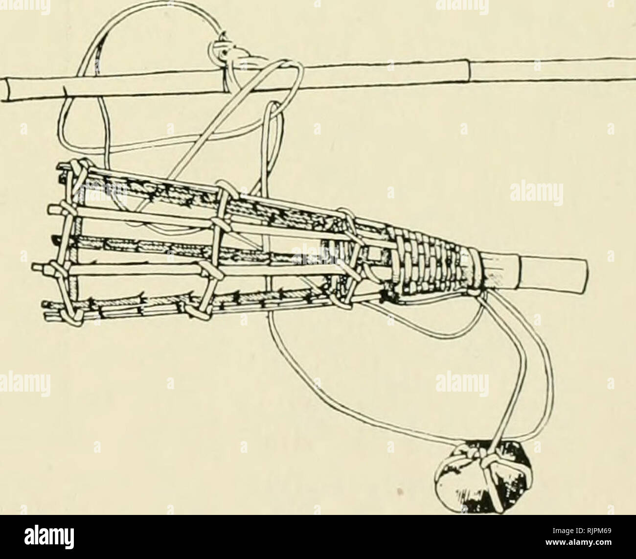. The Australian Museum magazine. Natural history. Barbed Fish Trap ...