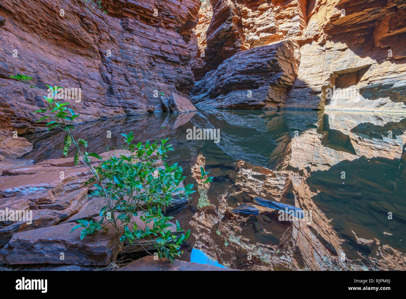hiking to handrail pool in the weano gorge in karijini national park ...