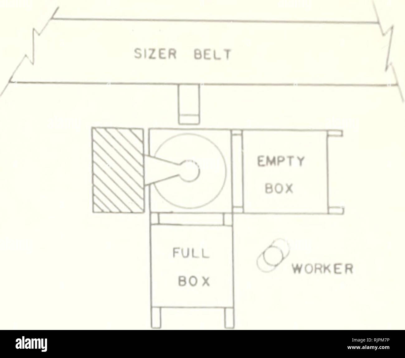. An automatic pallet-box filler for apples. Apples Packing; Pallets ...