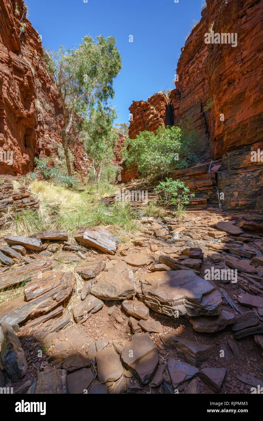 hiking down in the deep and narrow weano gorge in karijini national ...