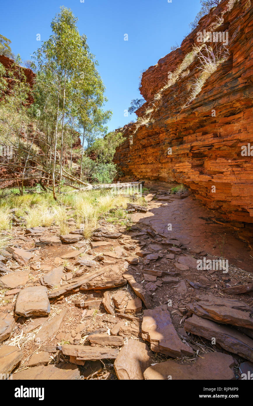 hiking down in the deep and narrow weano gorge in karijini national ...