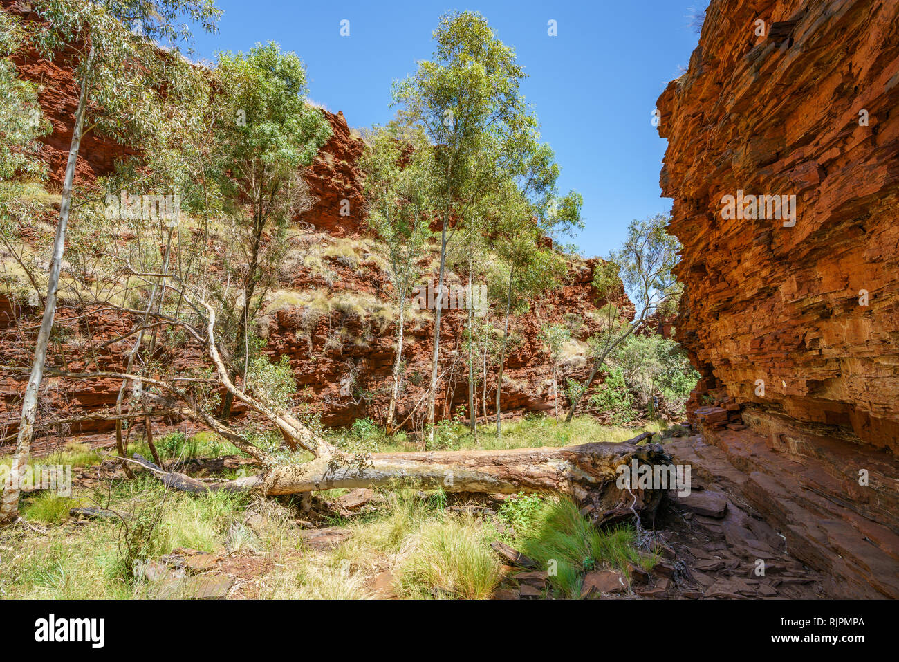 hiking down in the deep and narrow weano gorge in karijini national ...