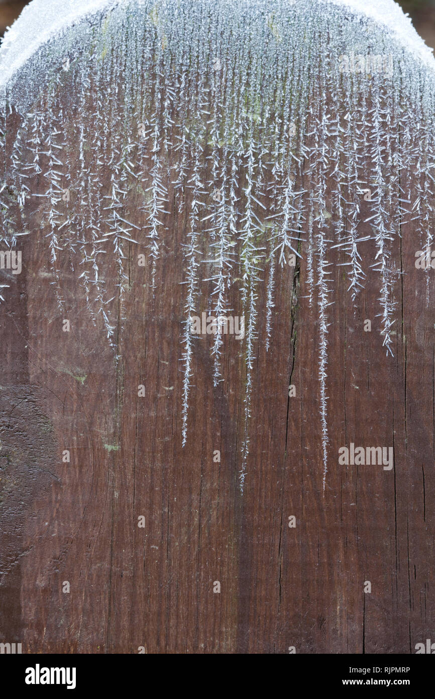 Sharp frost hi-res stock photography and images - Alamy