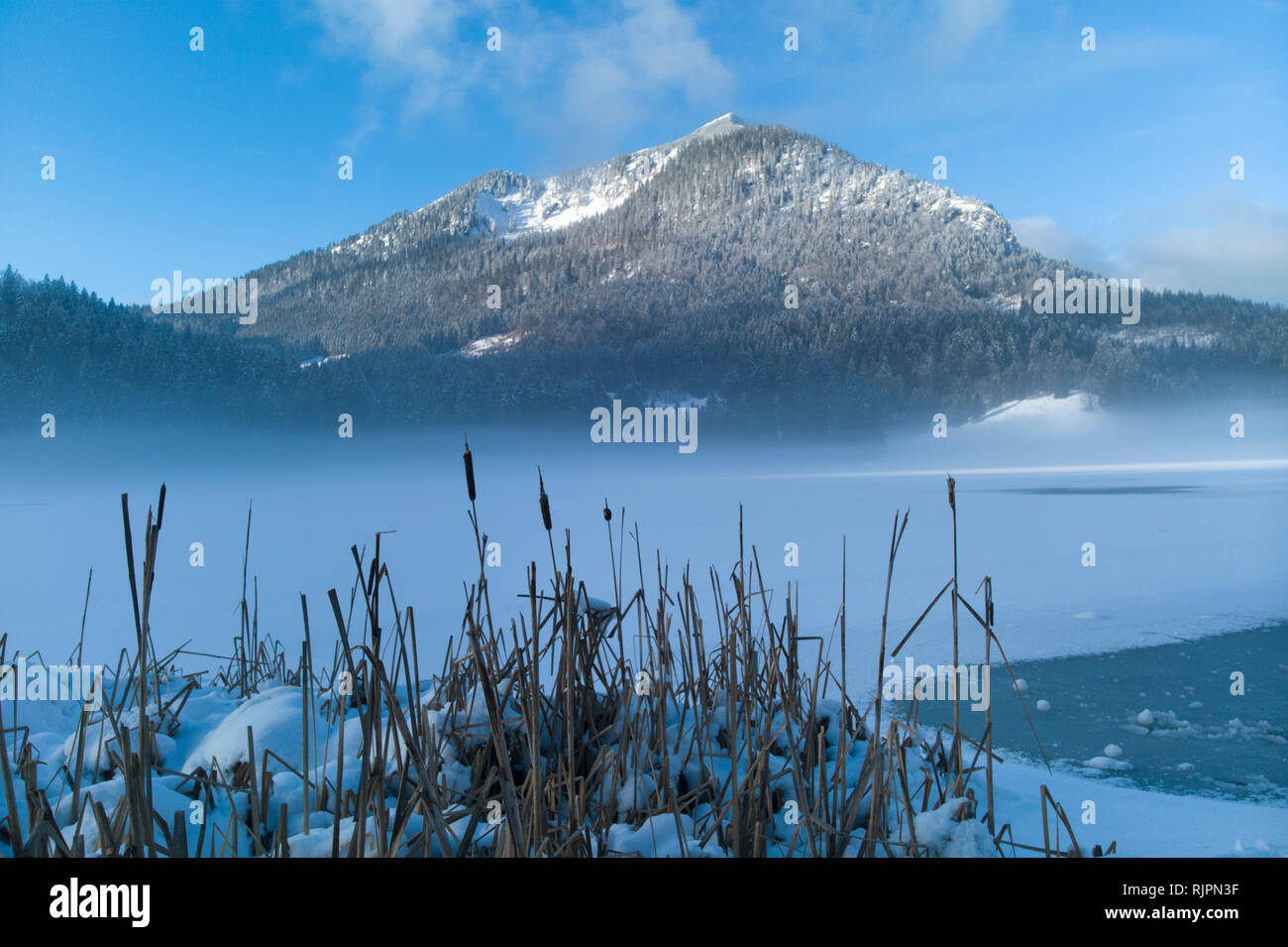 Spitzingsee Stock Photos & Spitzingsee Stock Images - Alamy
