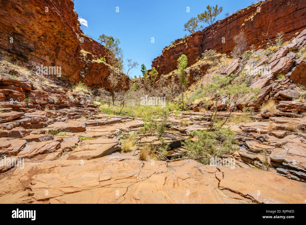hiking down in the deep and narrow weano gorge in karijini national park, western australia ...