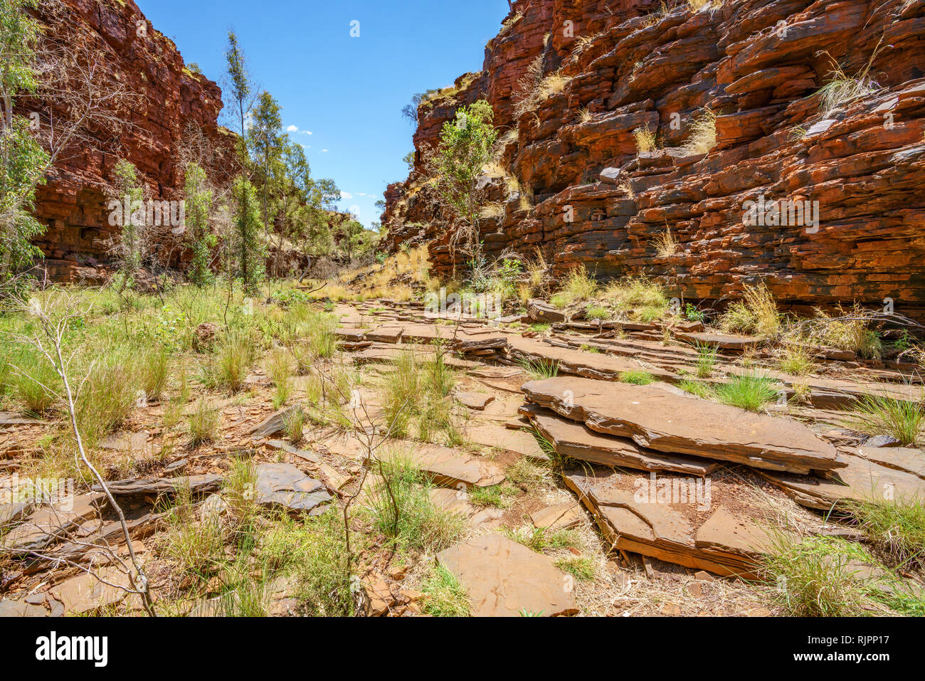 hiking down in the deep and narrow weano gorge in karijini national ...