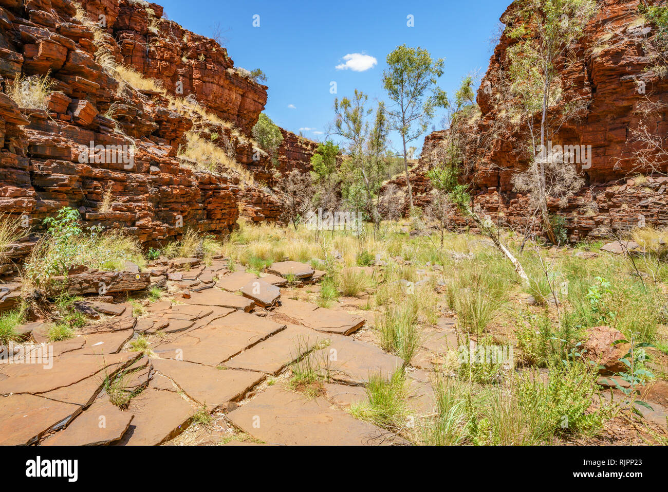 hiking down in the deep and narrow weano gorge in karijini national ...