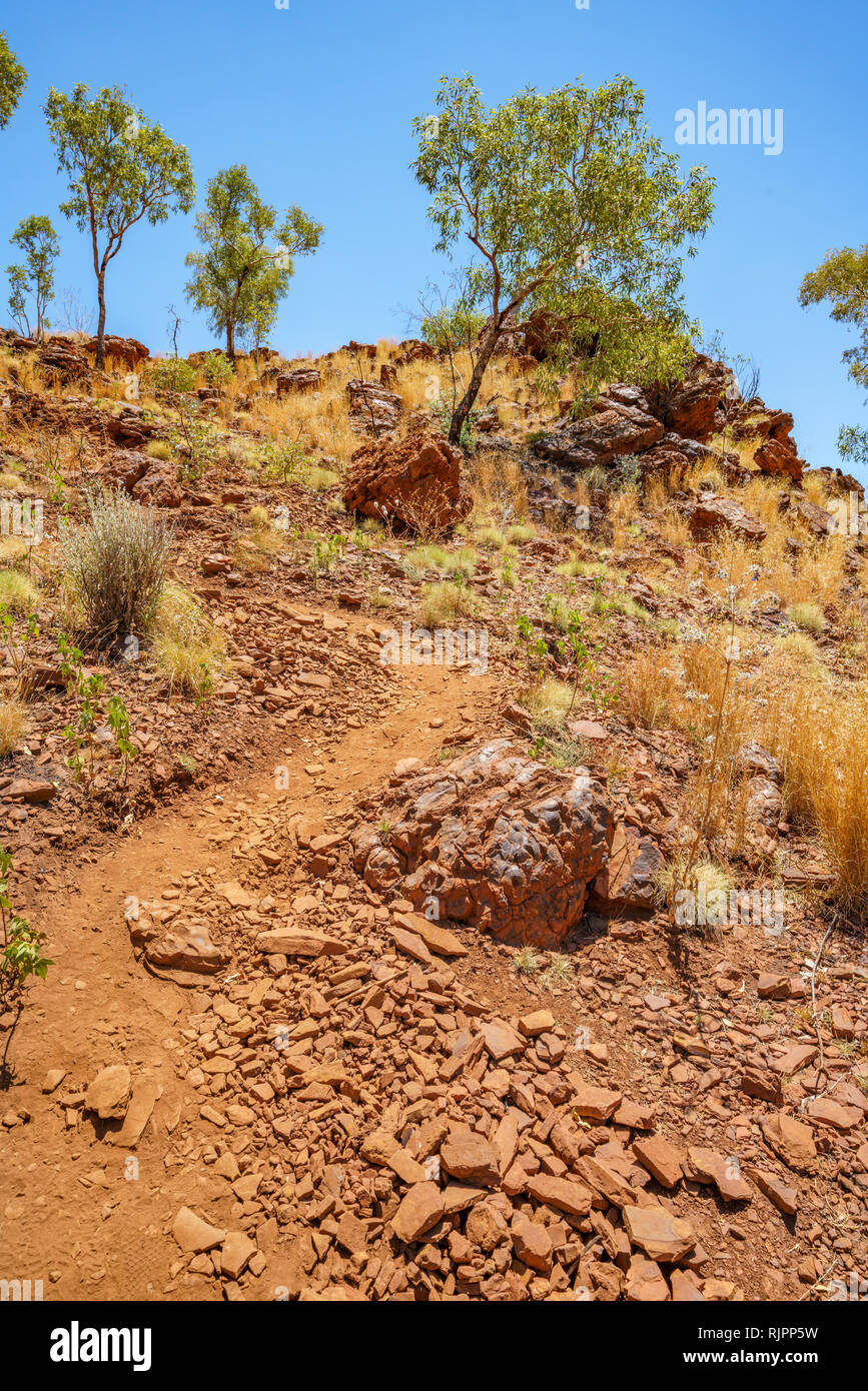 hiking at the rim of weano gorge in the desert of karijini national ...