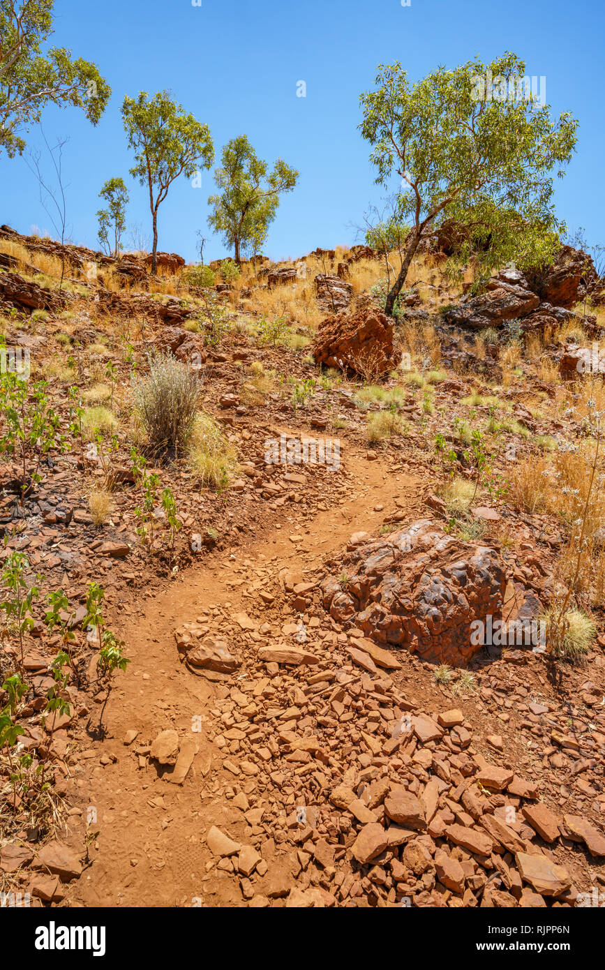 hiking at the rim of weano gorge in the desert of karijini national ...
