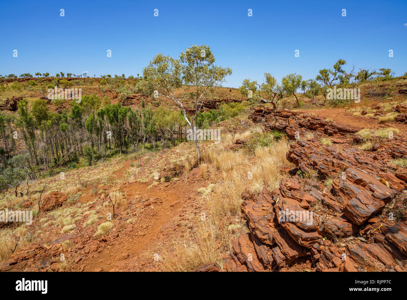 hiking at the rim of weano gorge in the desert of karijini national ...
