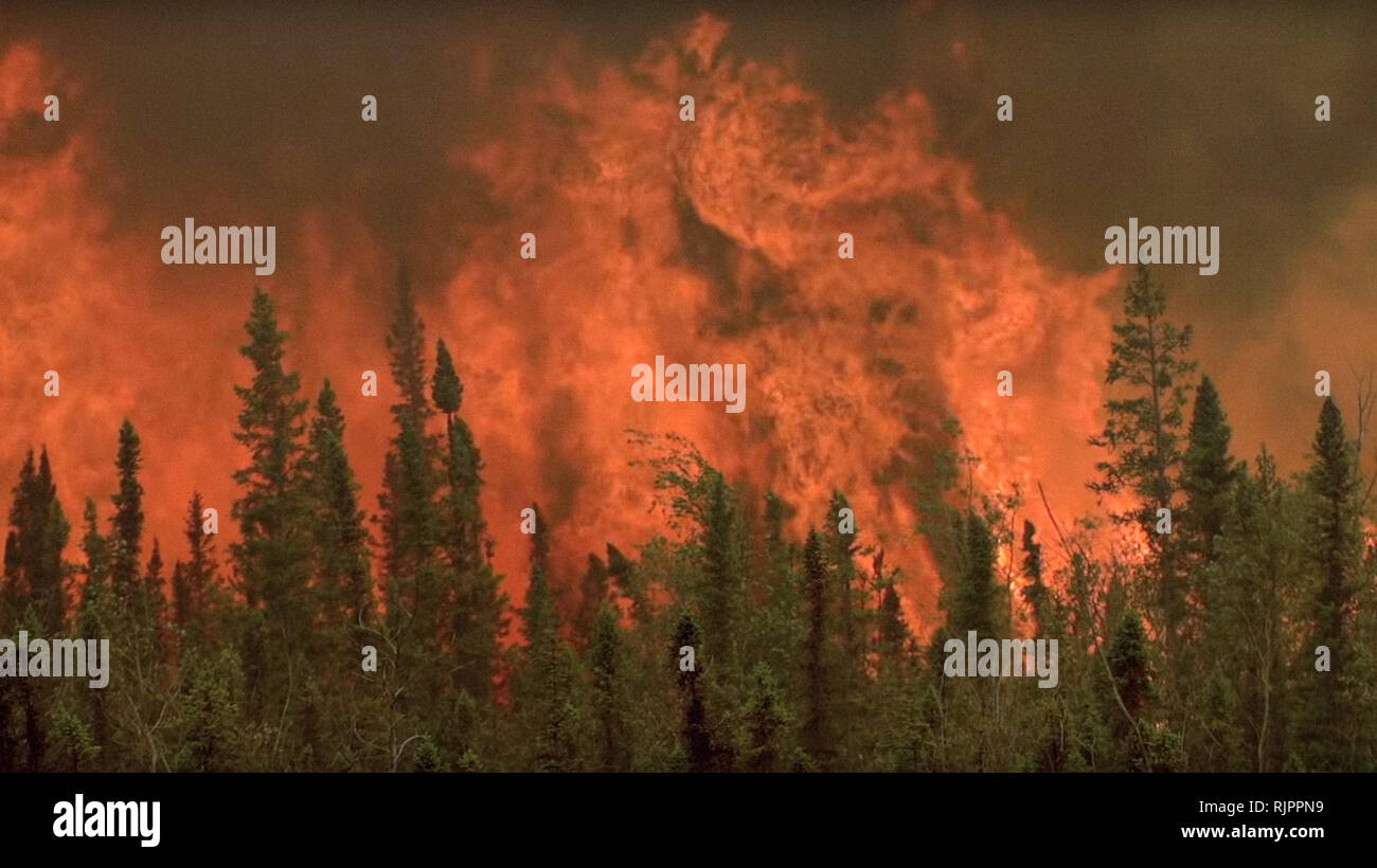 THE HUMAN ELEMENT, wildfire, 2018. © The Orchard / Courtesy: Everett ...