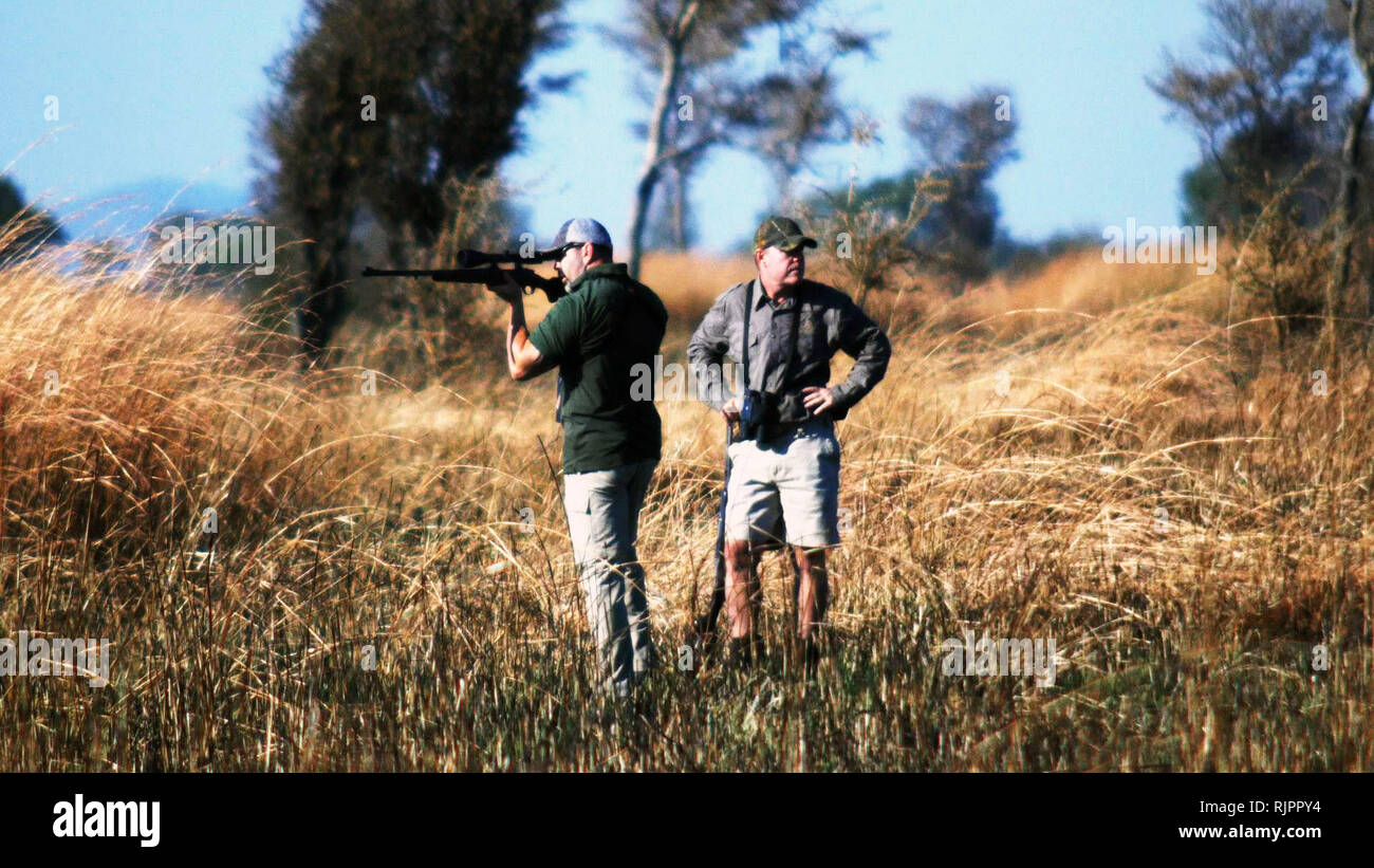 KING OF BEASTS, Aaron Neilson (left), 2018. © Gravitas Ventures ...