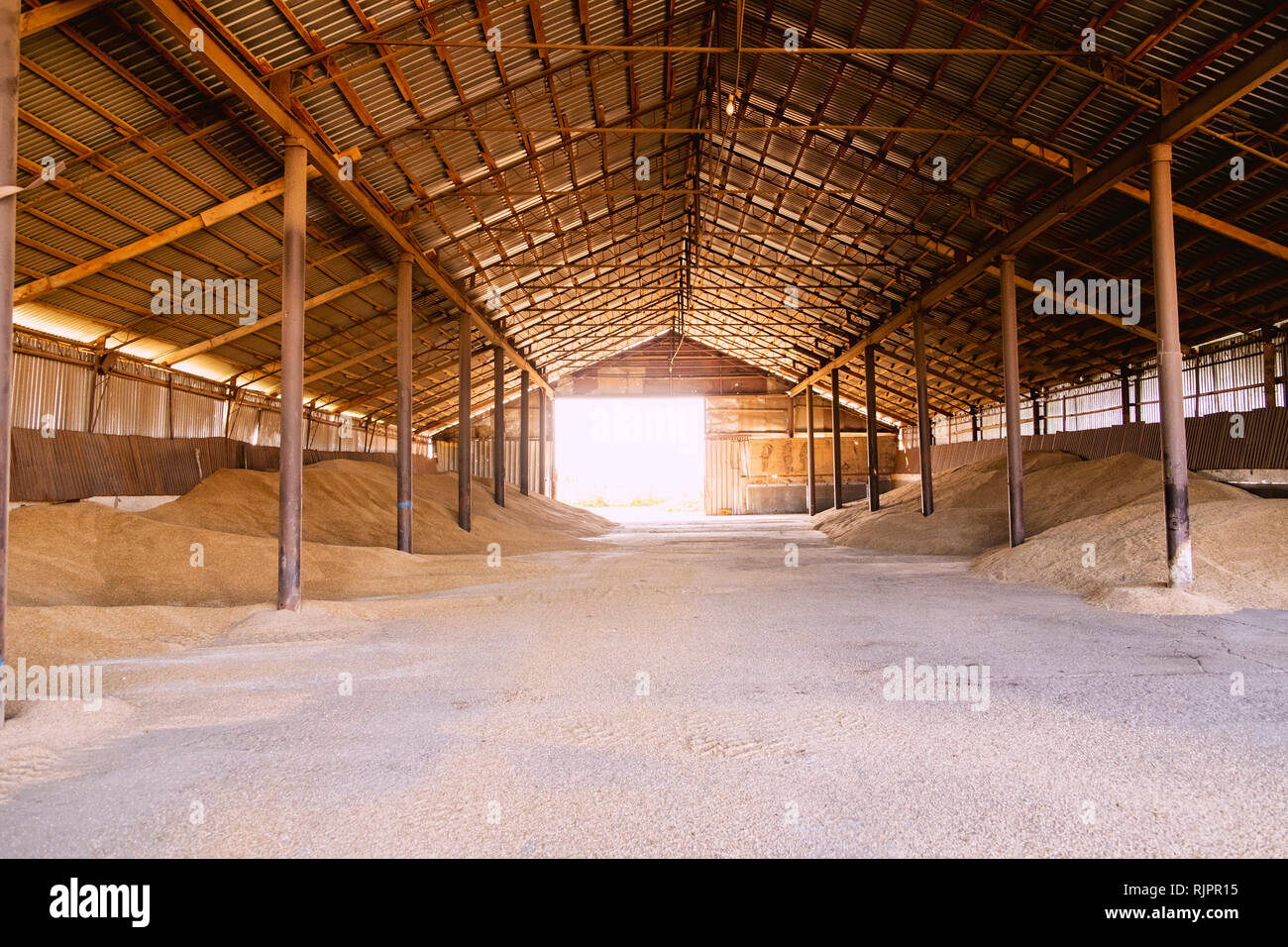 Stacks of harvested grain in agricultural barn Stock Photo - Alamy