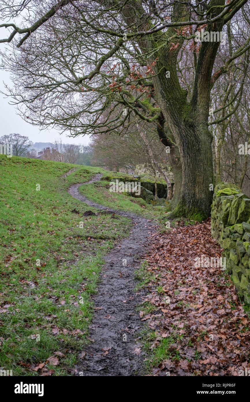 View goit stock falls harden hi-res stock photography and images - Alamy