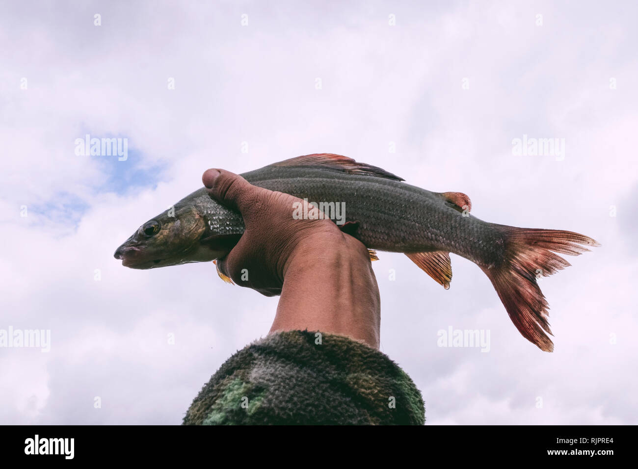 Held up hi-res stock photography and images - Alamy