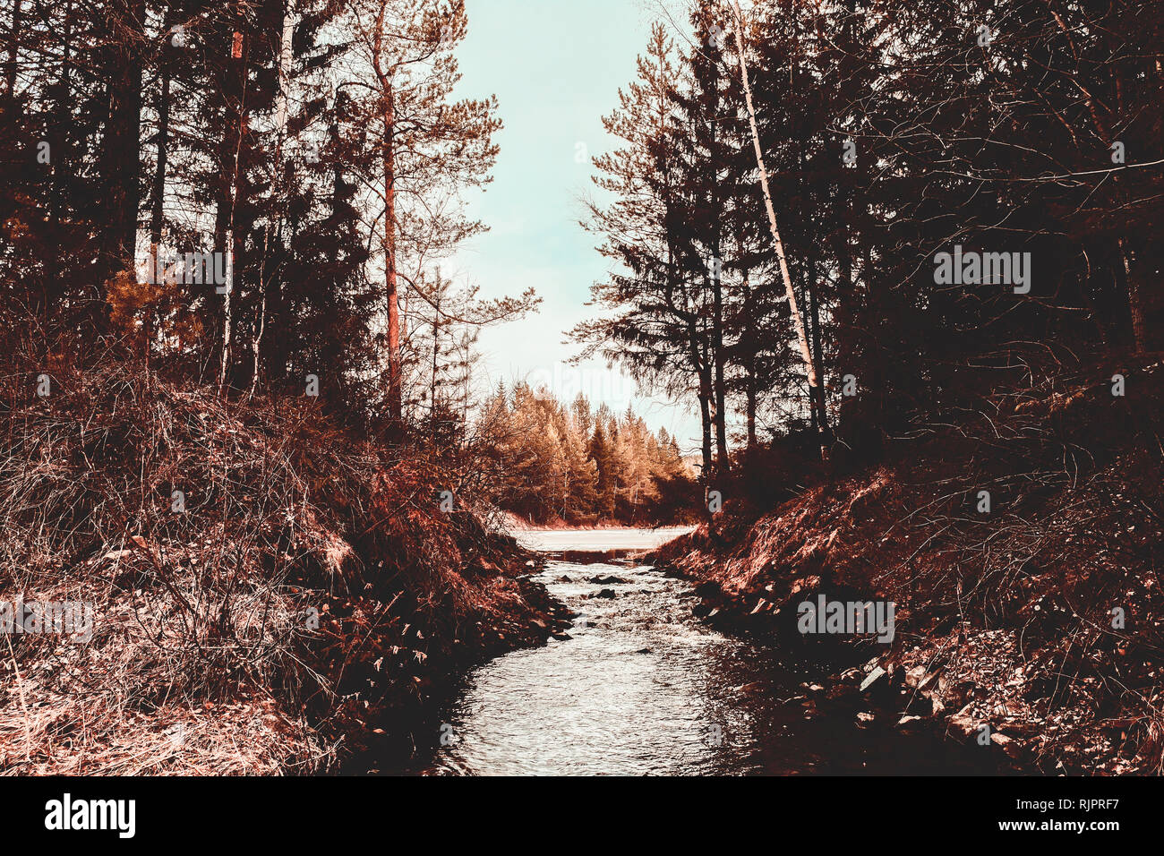 River running through forest, Ural, Sverdlovsk, Russia Stock Photo - Alamy
