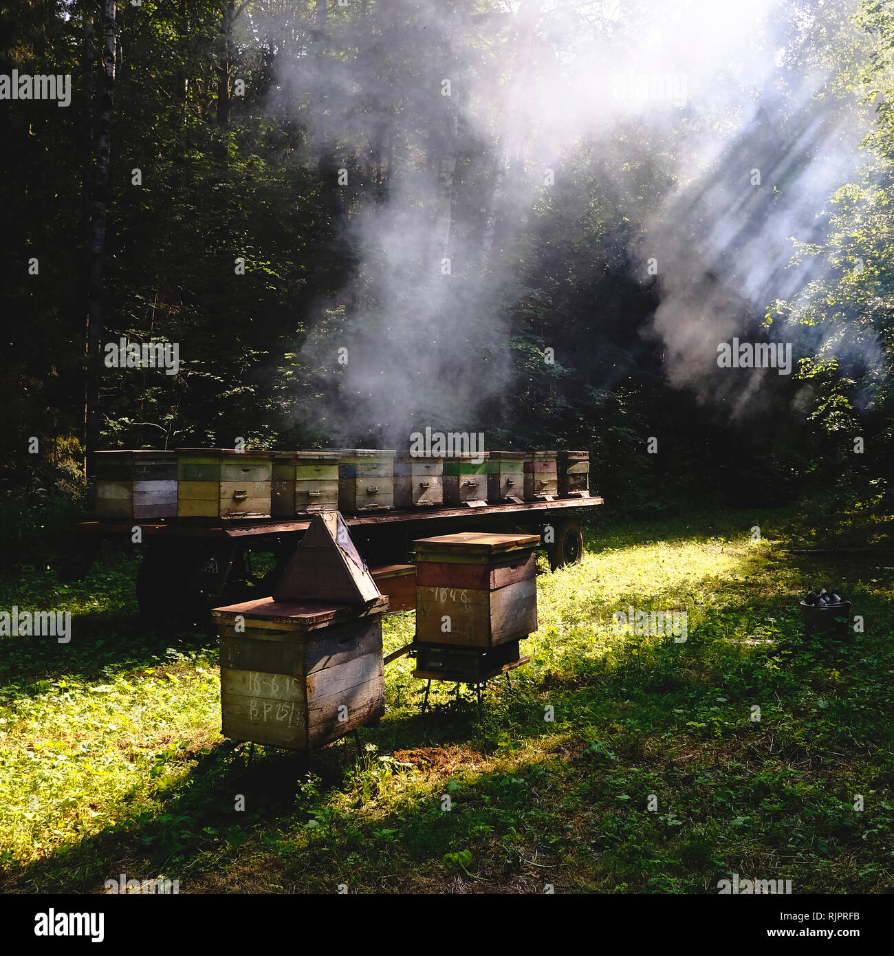 Beehive shape hi-res stock photography and images - Alamy