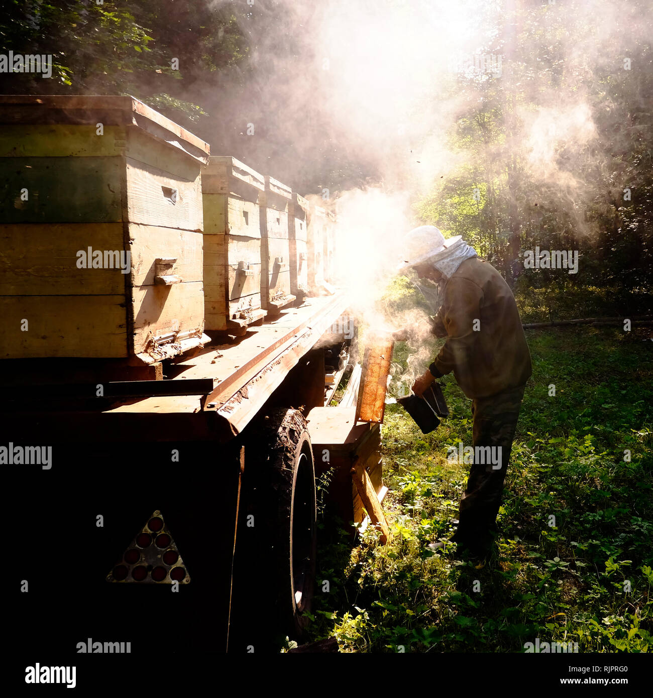 Beekeeper smoking beehive in farm, Ural, Bashkortostan, Russia Stock ...