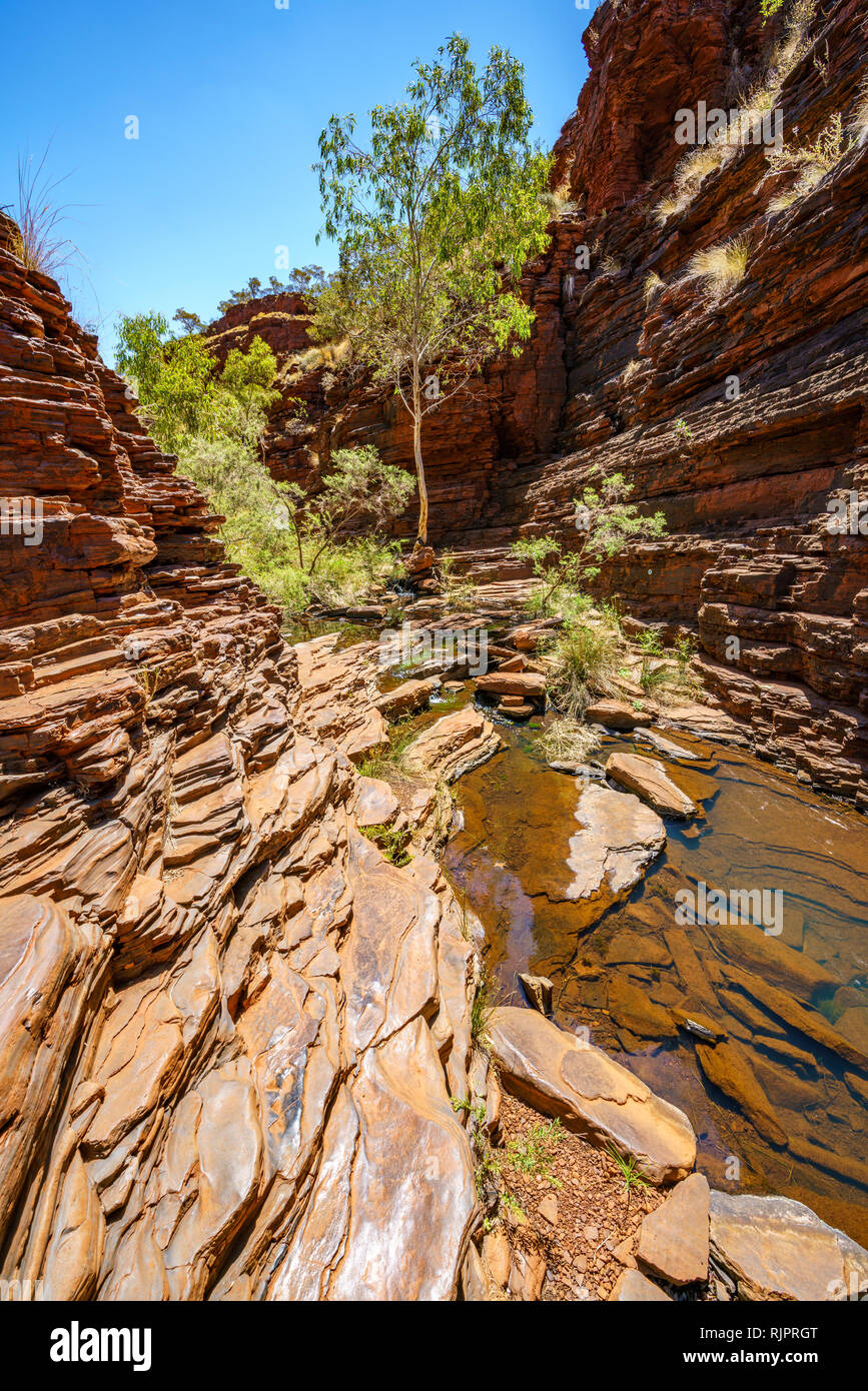 hiking down in steep hancock gorge in karijini national park, western ...