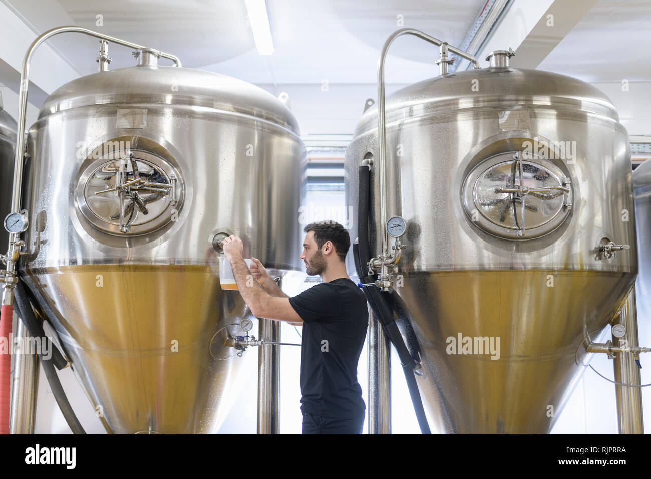 Sample Beer High Resolution Stock Photography and Images - Alamy
