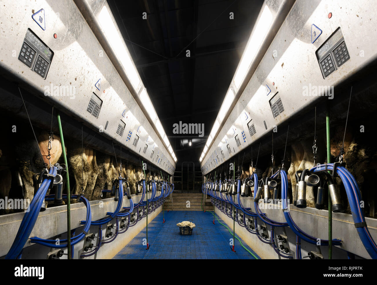 Milking machine hi-res stock photography and images - Alamy