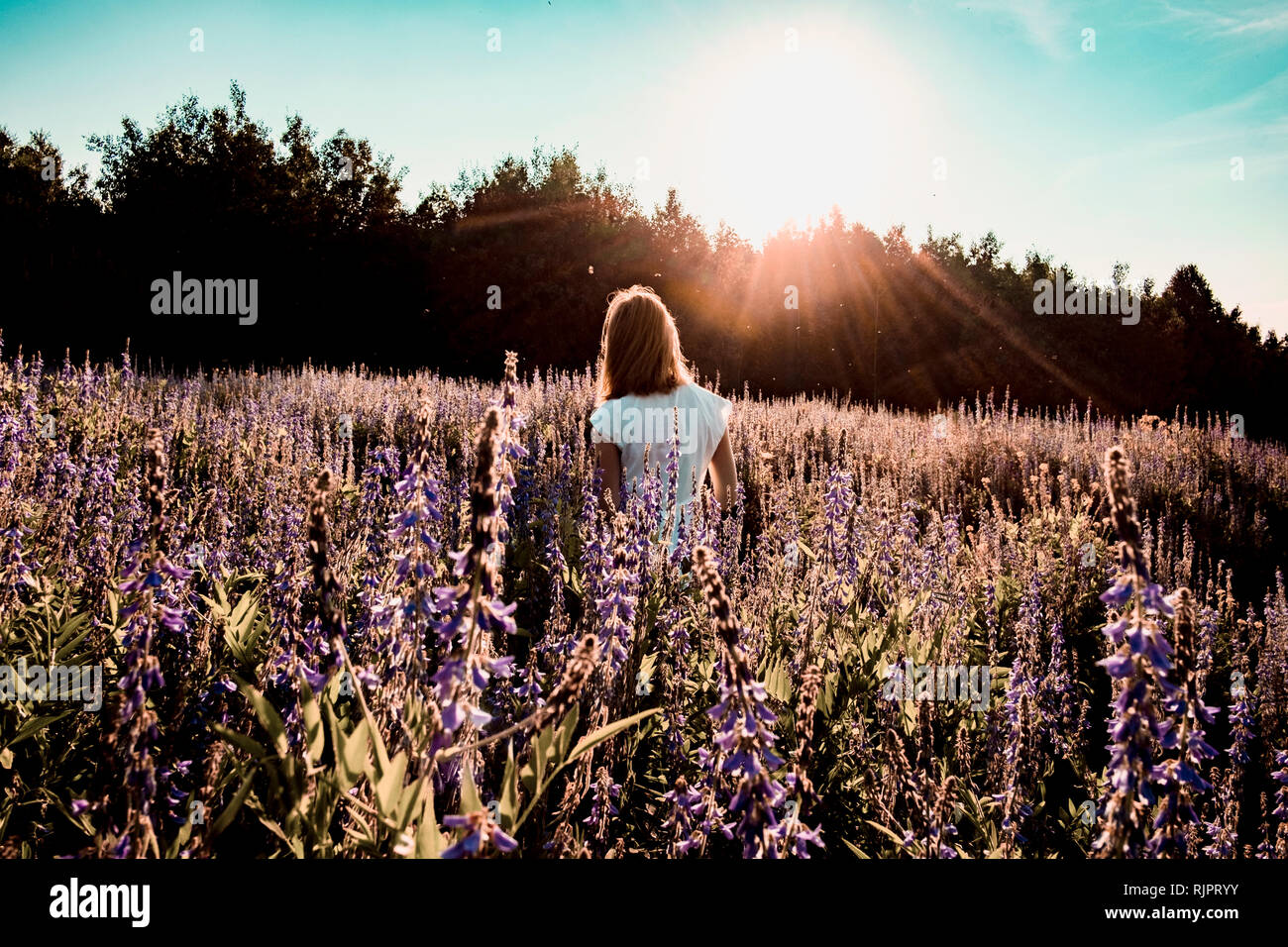 Strolling woman hi-res stock photography and images - Alamy