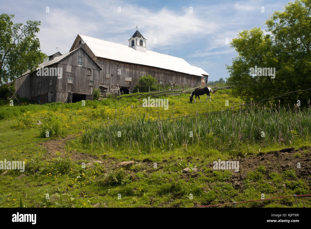 Lyndonville vermont hi-res stock photography and images - Alamy