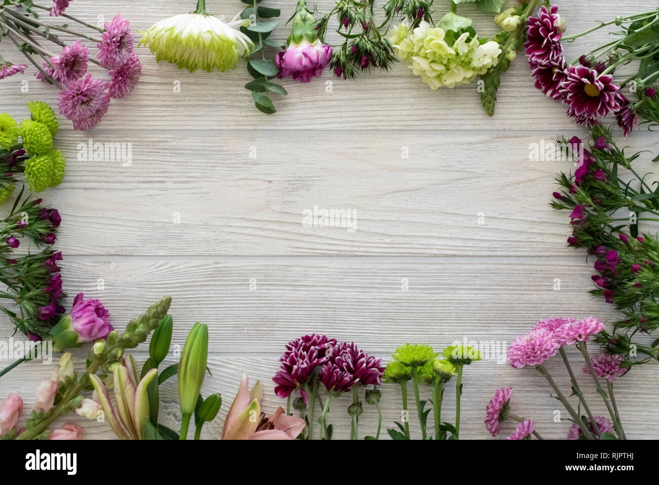 Floral boarder hi-res stock photography and images - Alamy