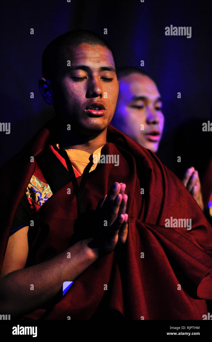 monk, monks, Buddhist, prayer, meditation, concentration, spirituality ...