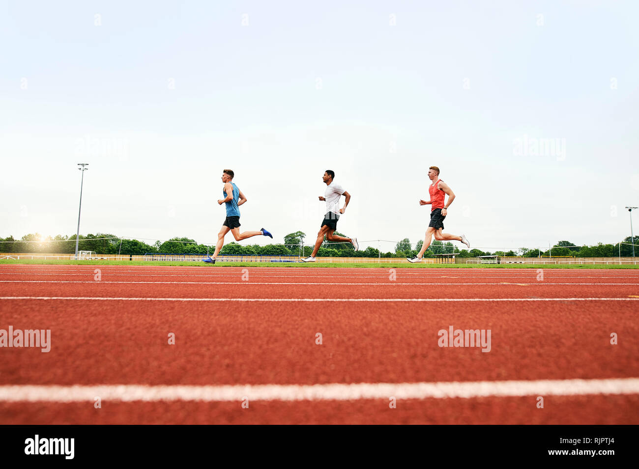 Runners training on running track Stock Photo - Alamy