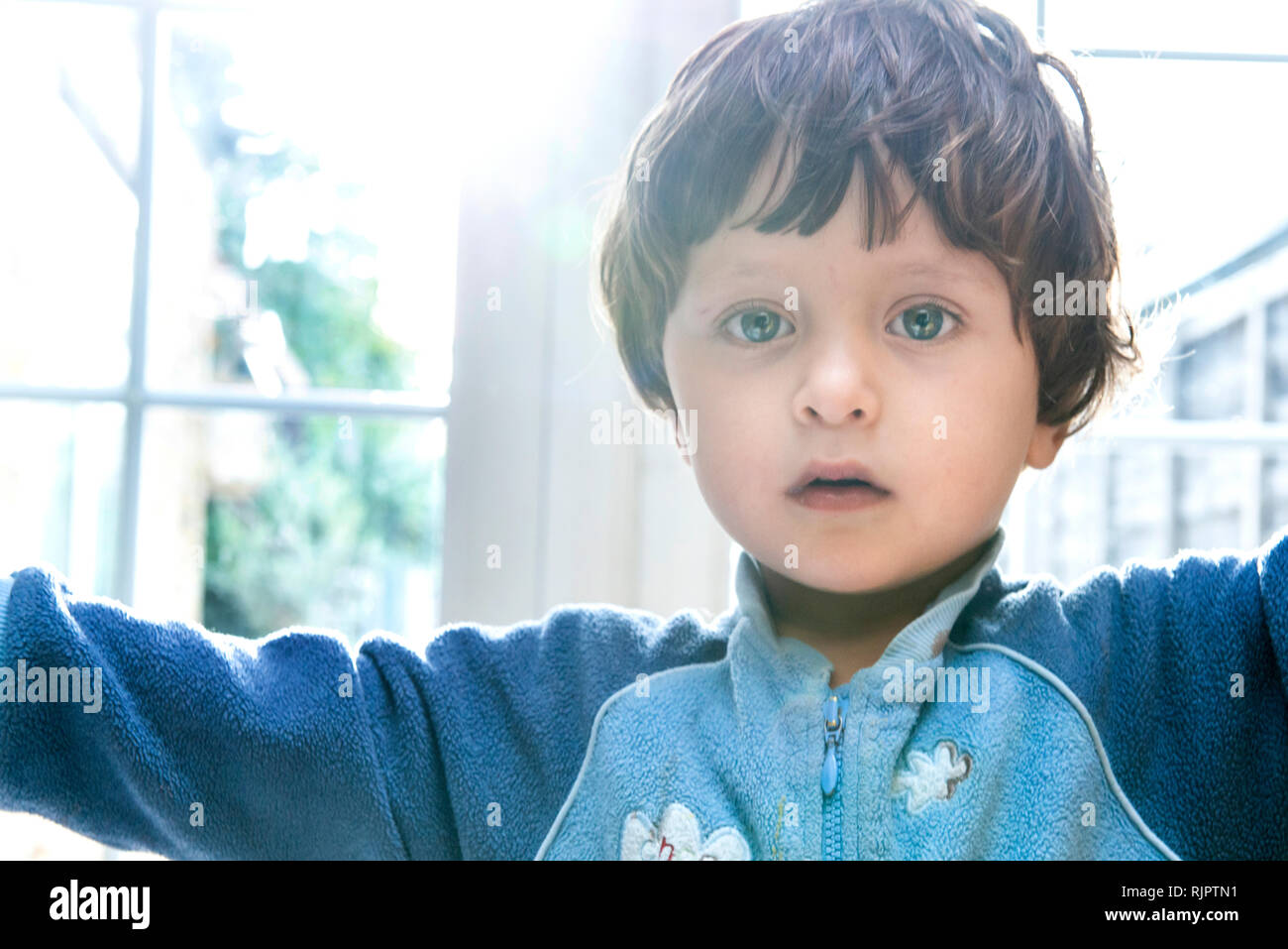 Portrait of toddler boy Stock Photo - Alamy