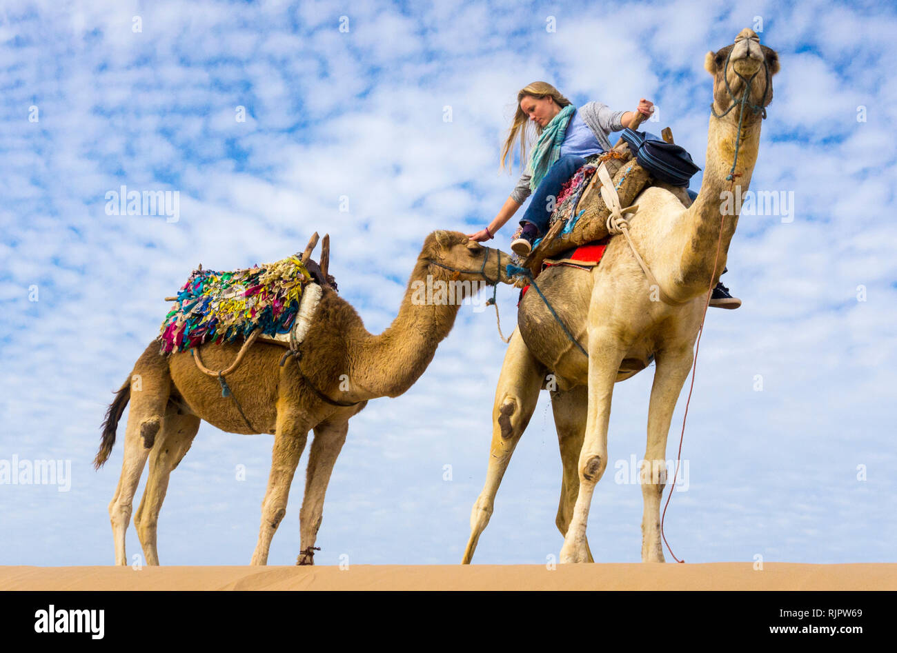 Woman riding camel hi-res stock photography and images - Alamy