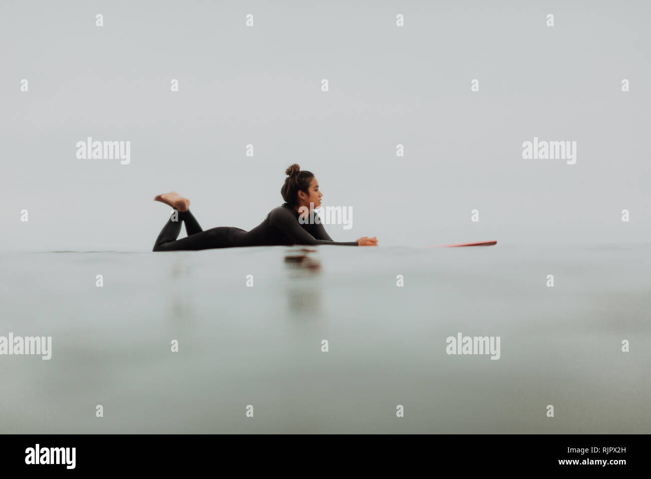 Surfer lying surfboard hi-res stock photography and images - Alamy