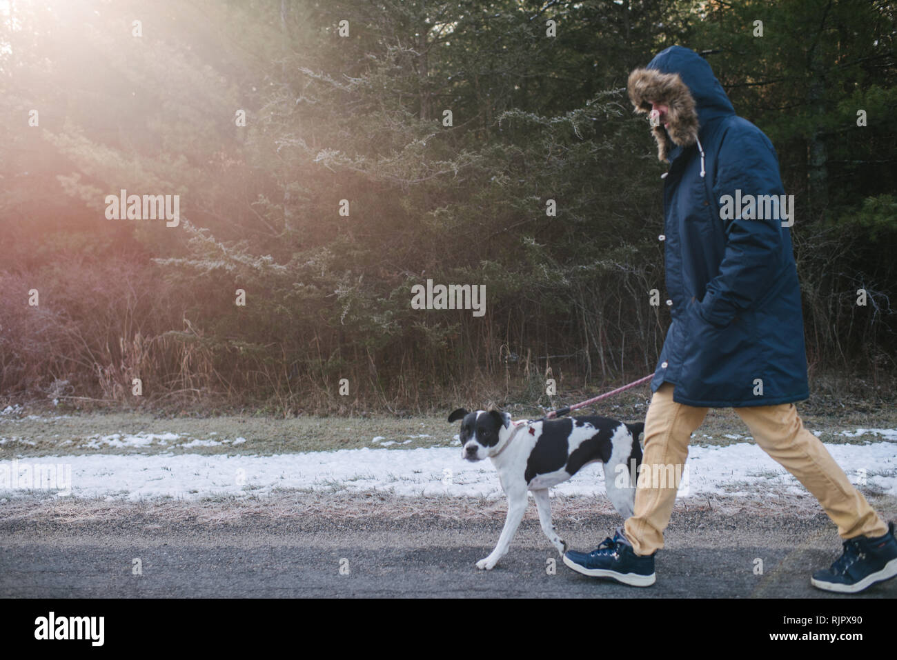 Man walking dog in countryside Stock Photo - Alamy
