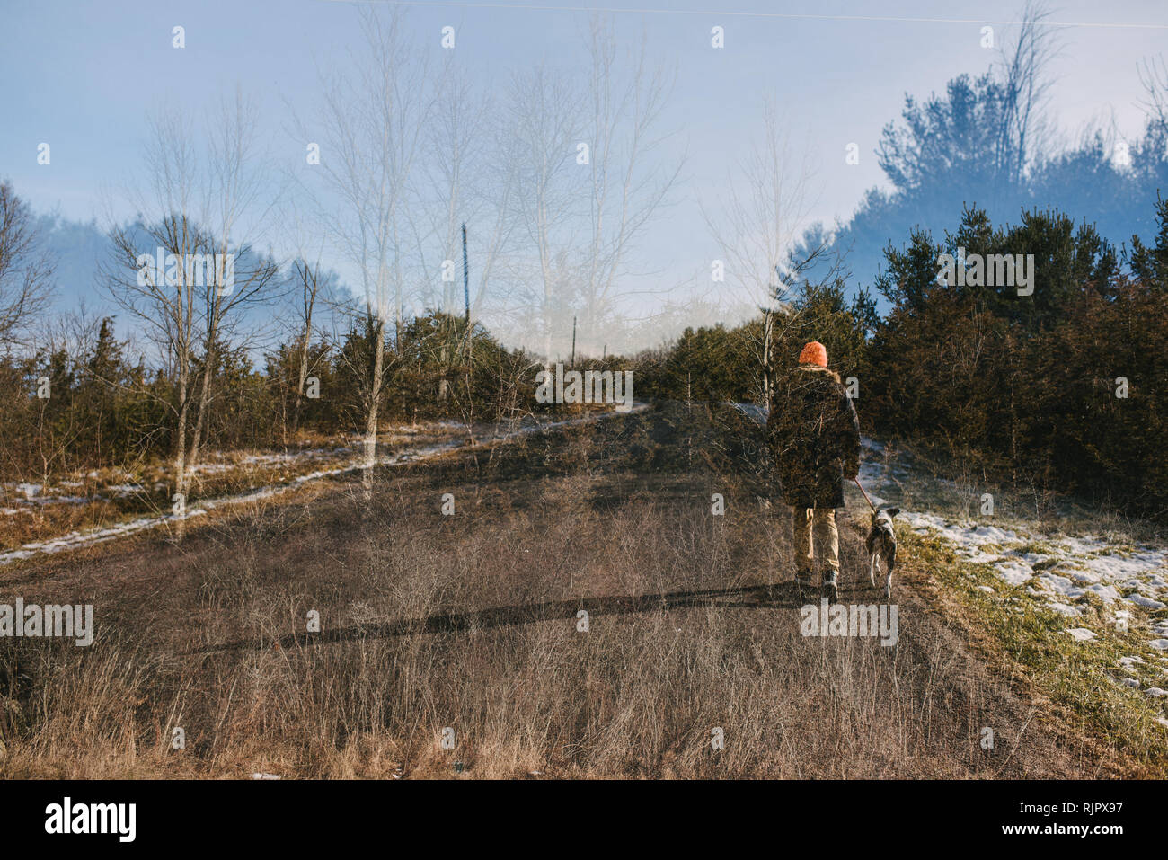 Man walking dog in countryside Stock Photo - Alamy