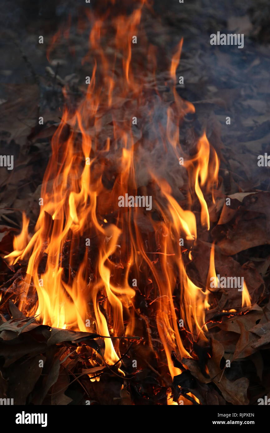 Fall leaf burning hi-res stock photography and images - Alamy