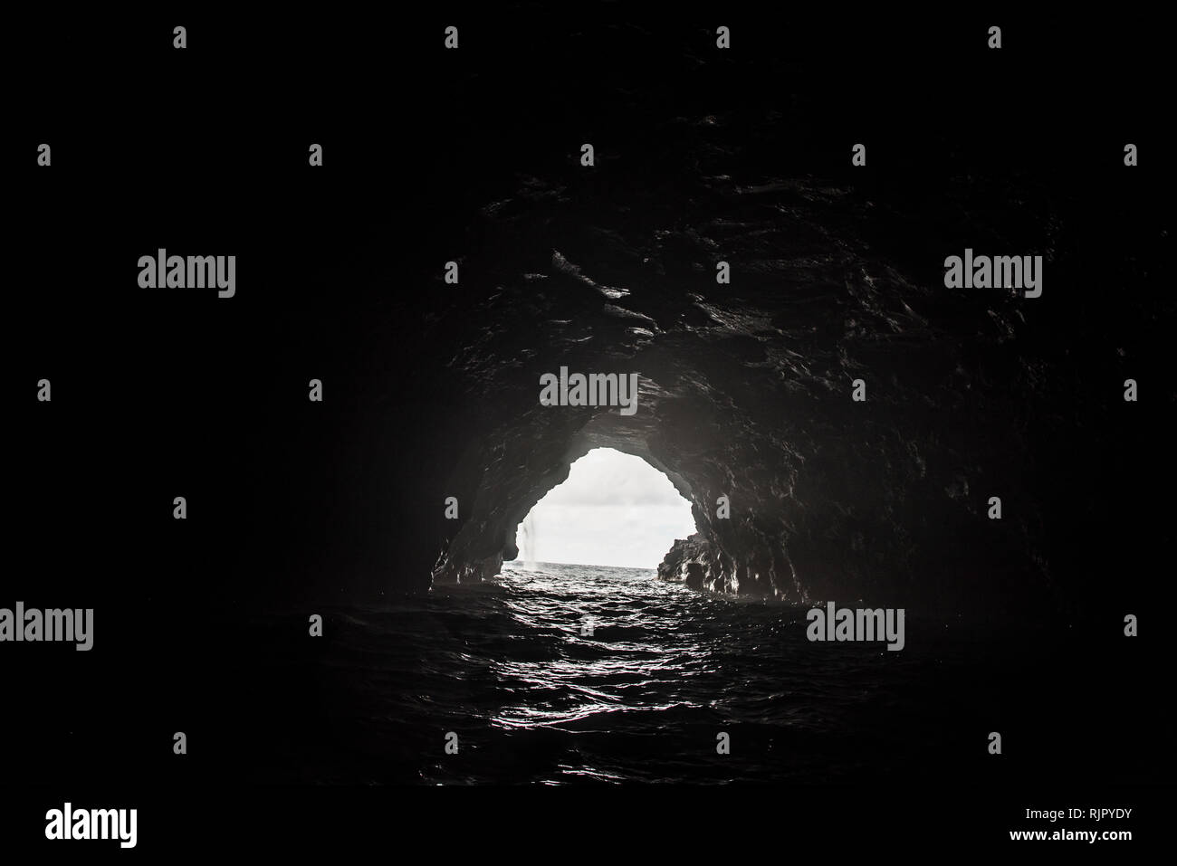Inside the sea hi-res stock photography and images - Alamy
