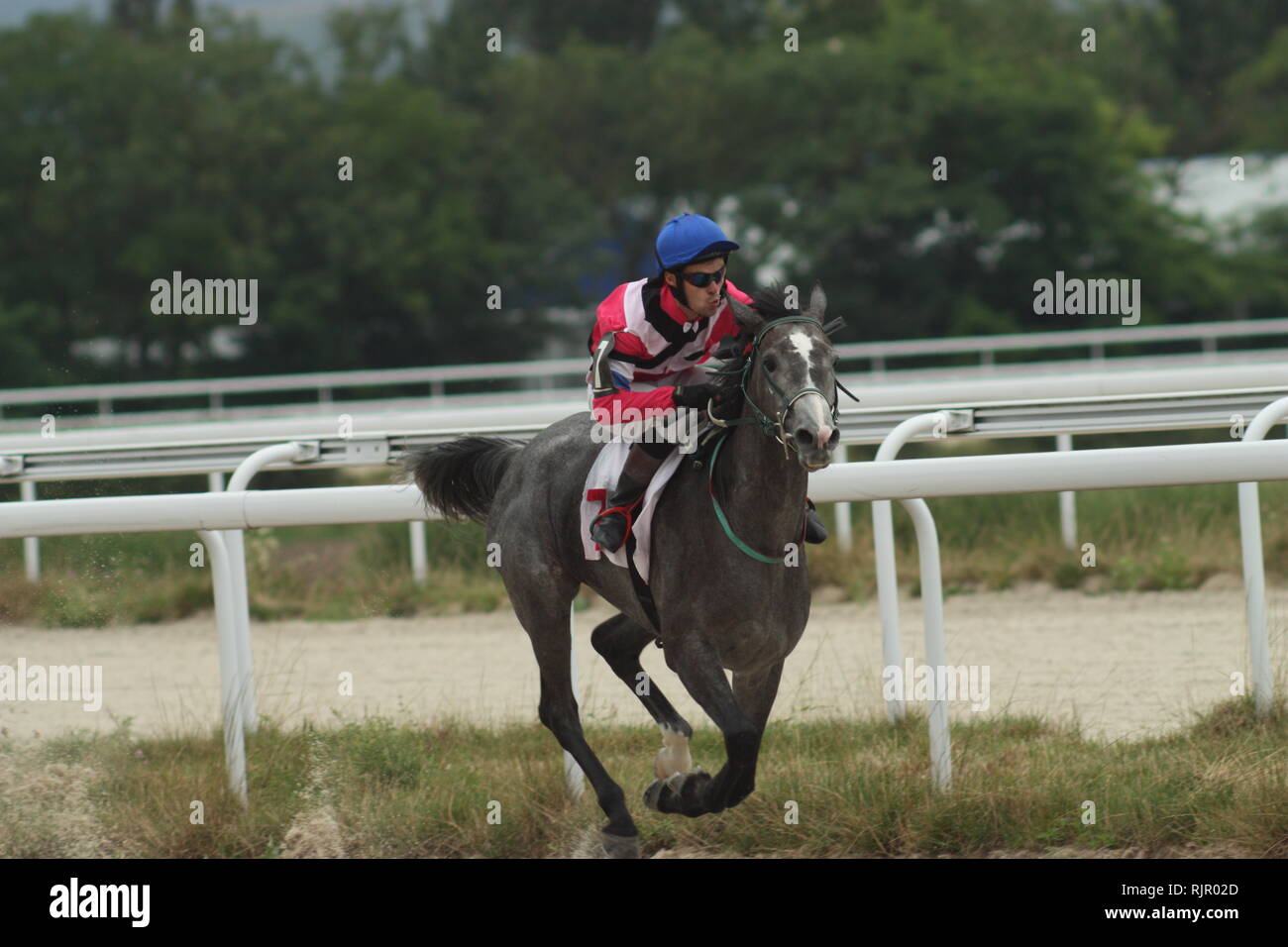 Triple Bet High Resolution Stock Photography and Images - Alamy