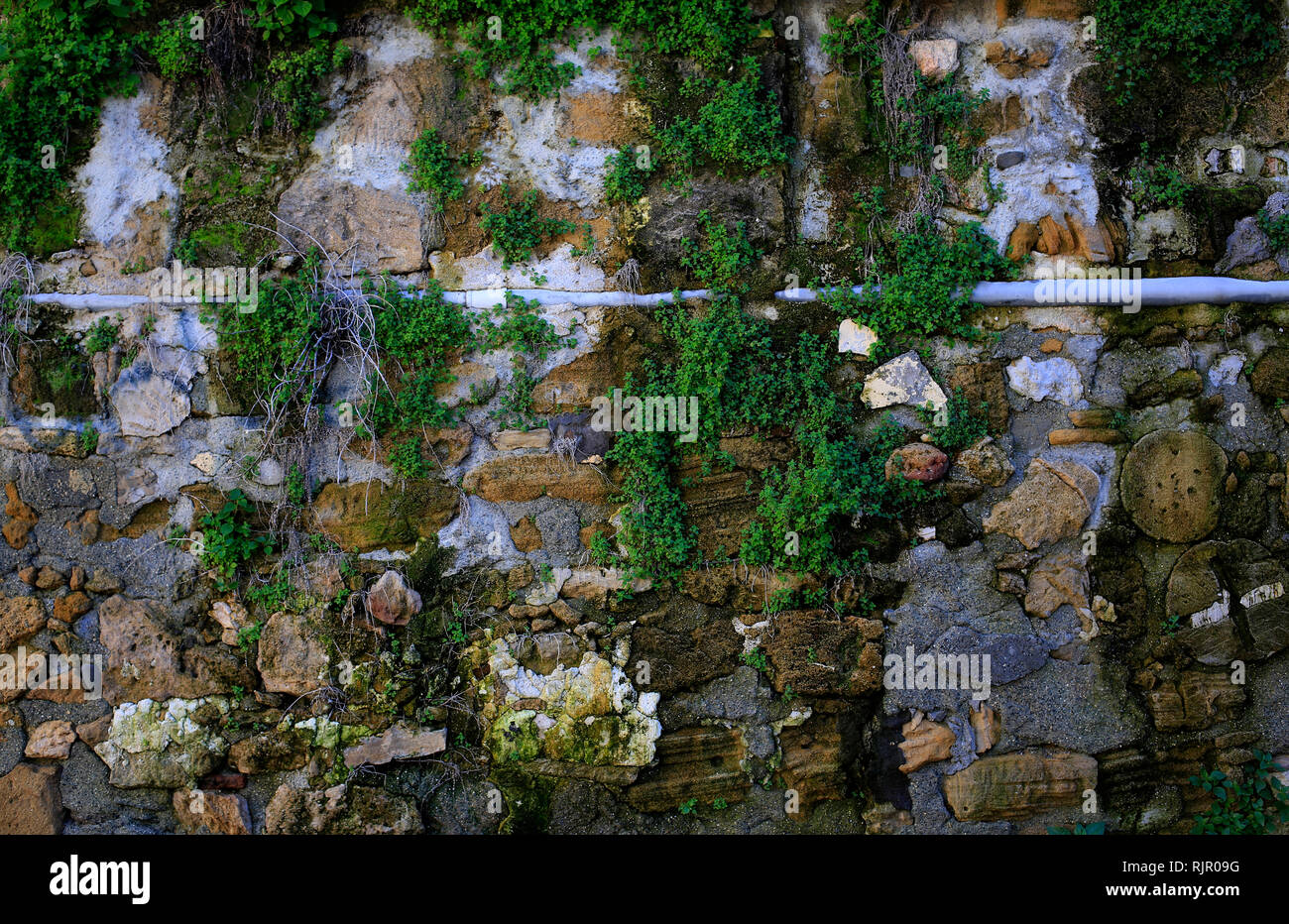 Plants take over the walls of a traditional stone house in the Old City ...