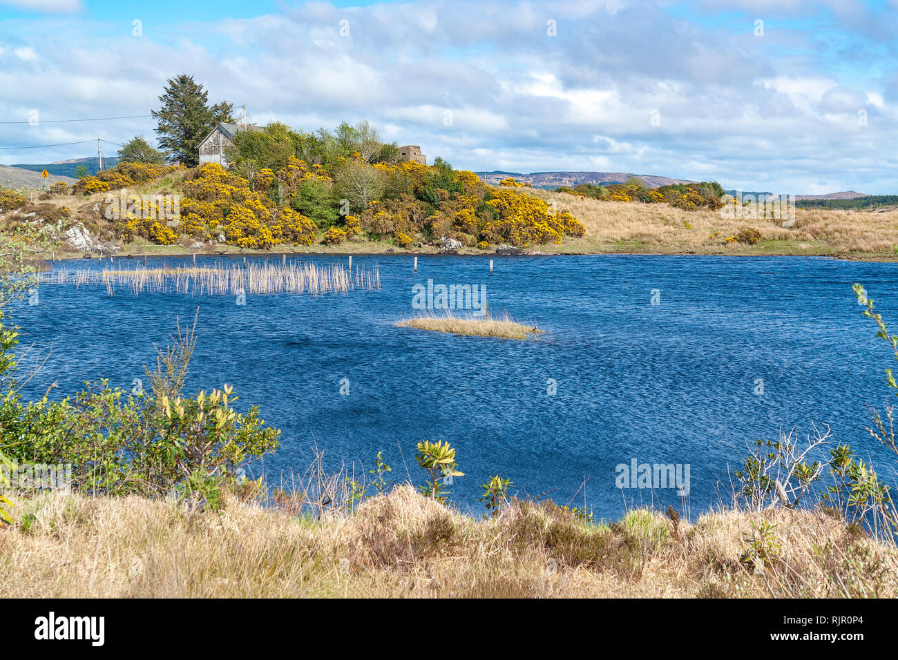 waterside scenery around in Connemara, a district in Ireland Stock ...