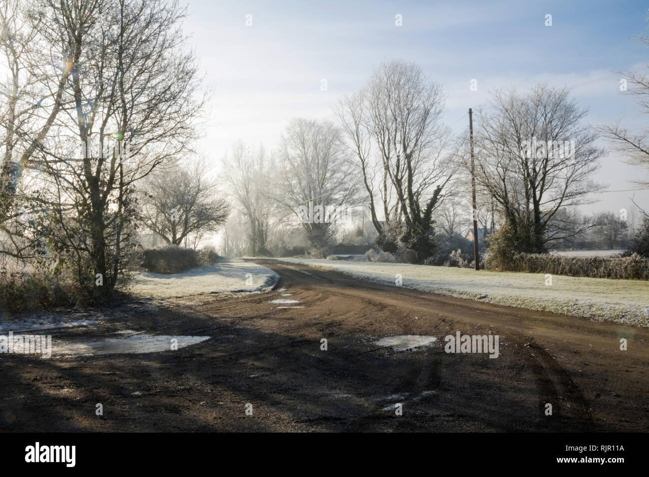 Misty morning, farm lane, Rodings, Essex Stock Photo - Alamy