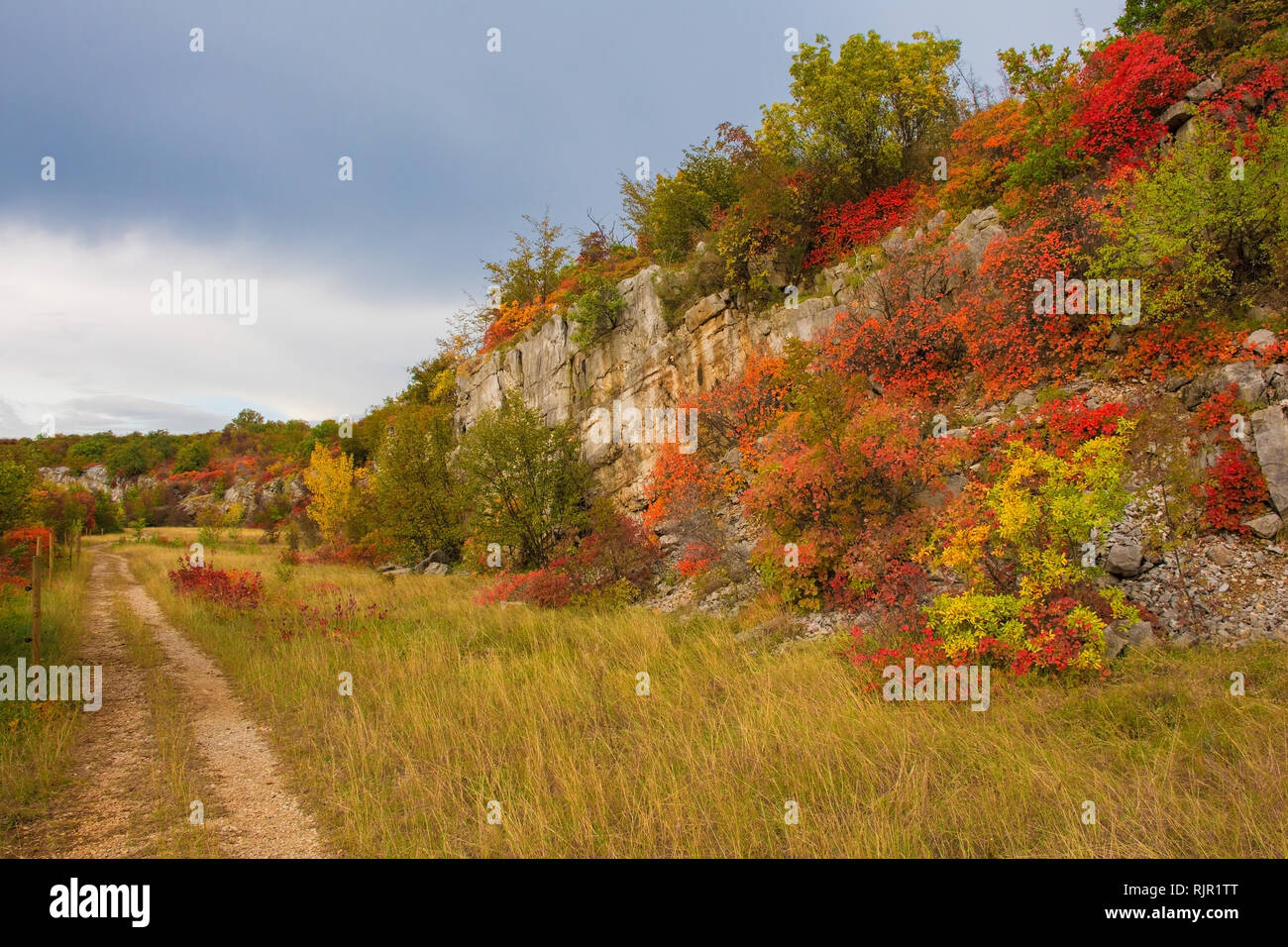 Carso hi-res stock photography and images - Alamy