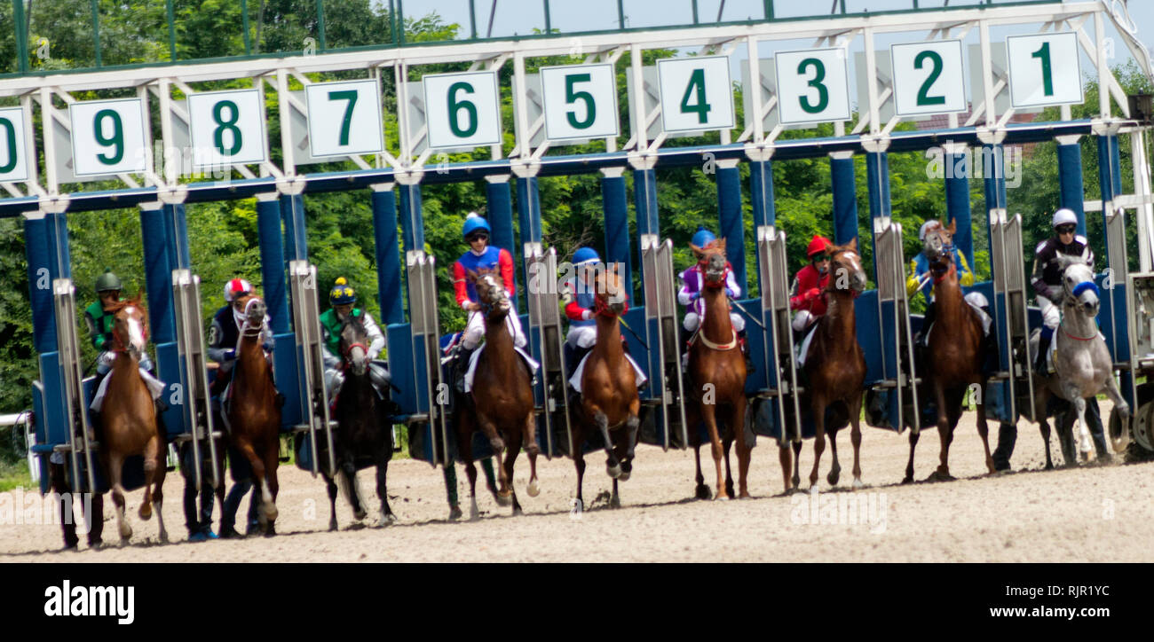 Royal horse racing box hi-res stock photography and images - Alamy