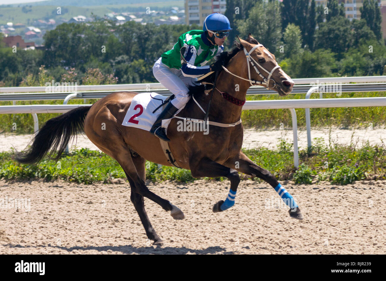Finish horse racing Stock Photo - Alamy
