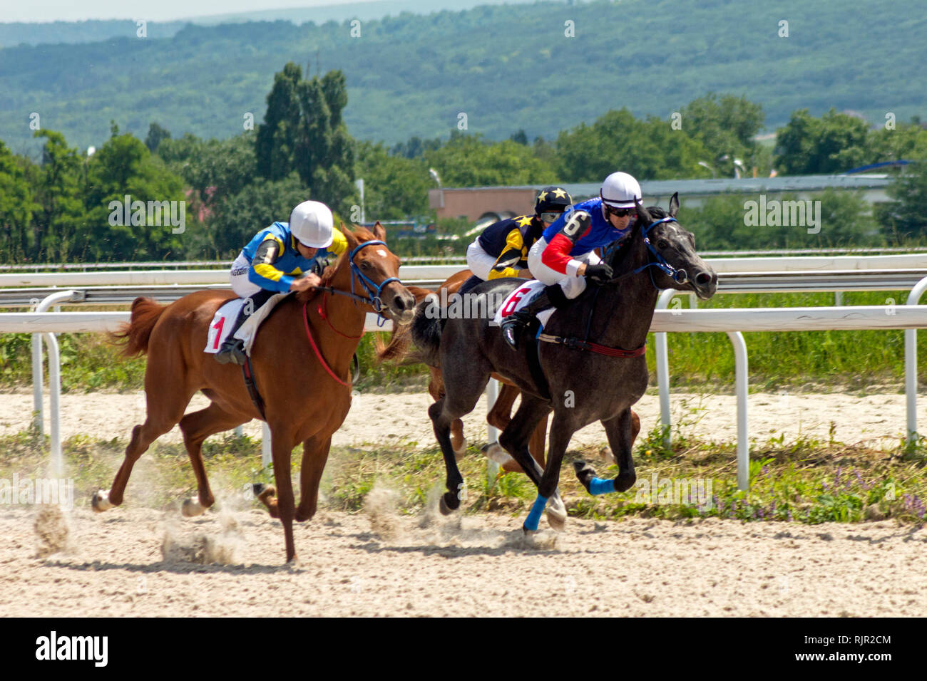 Finish horse racing Stock Photo - Alamy