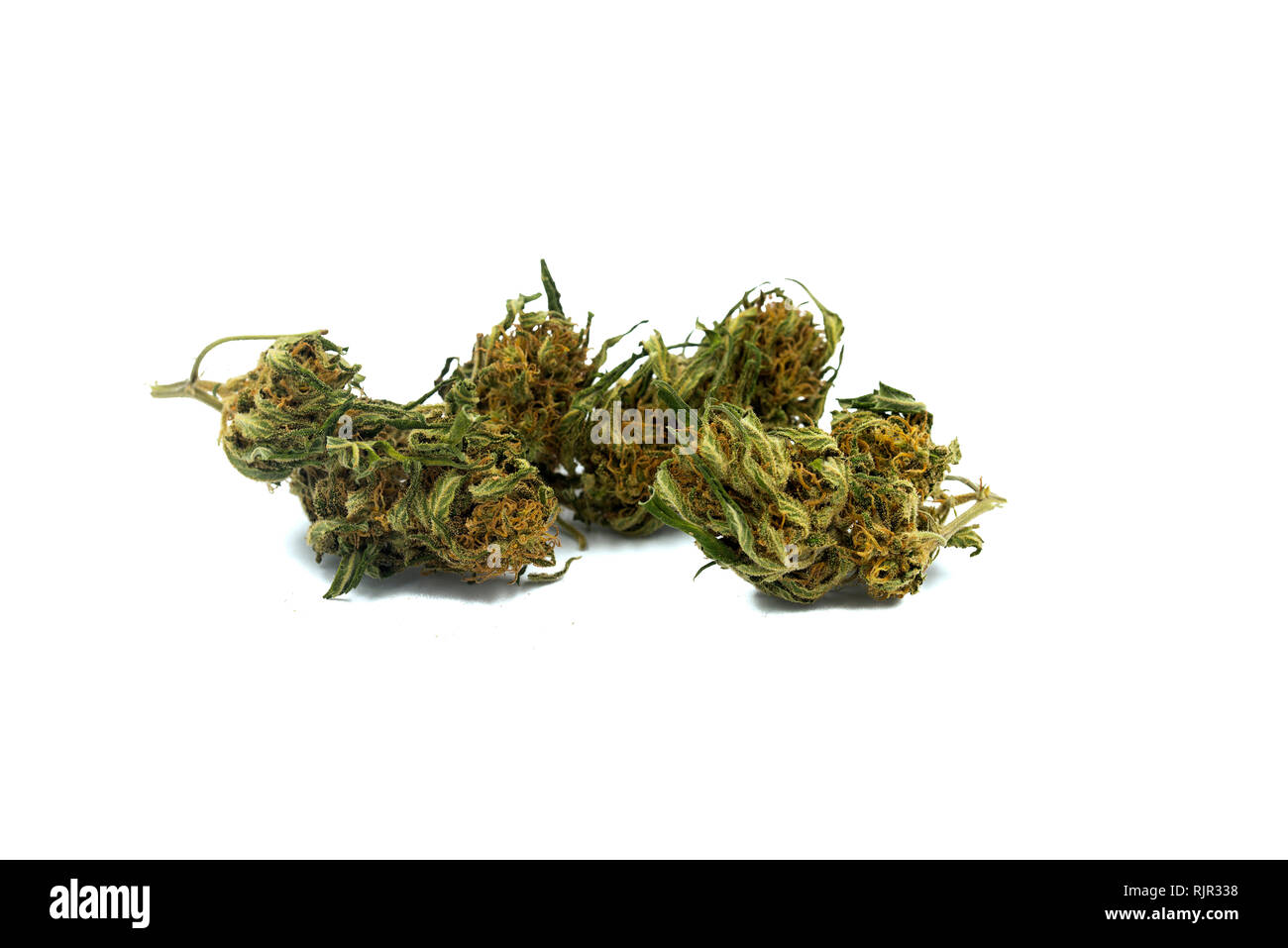 Close up marijuana medical Cut Out Stock Images & Pictures - Alamy