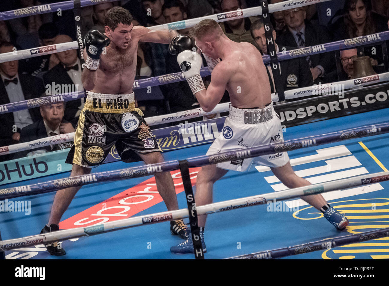 Professional boxer hi-res stock photography and images - Alamy