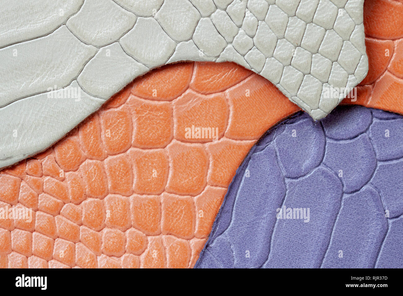 Colorful samples of genuine leather , embossed under the skin reptile ...